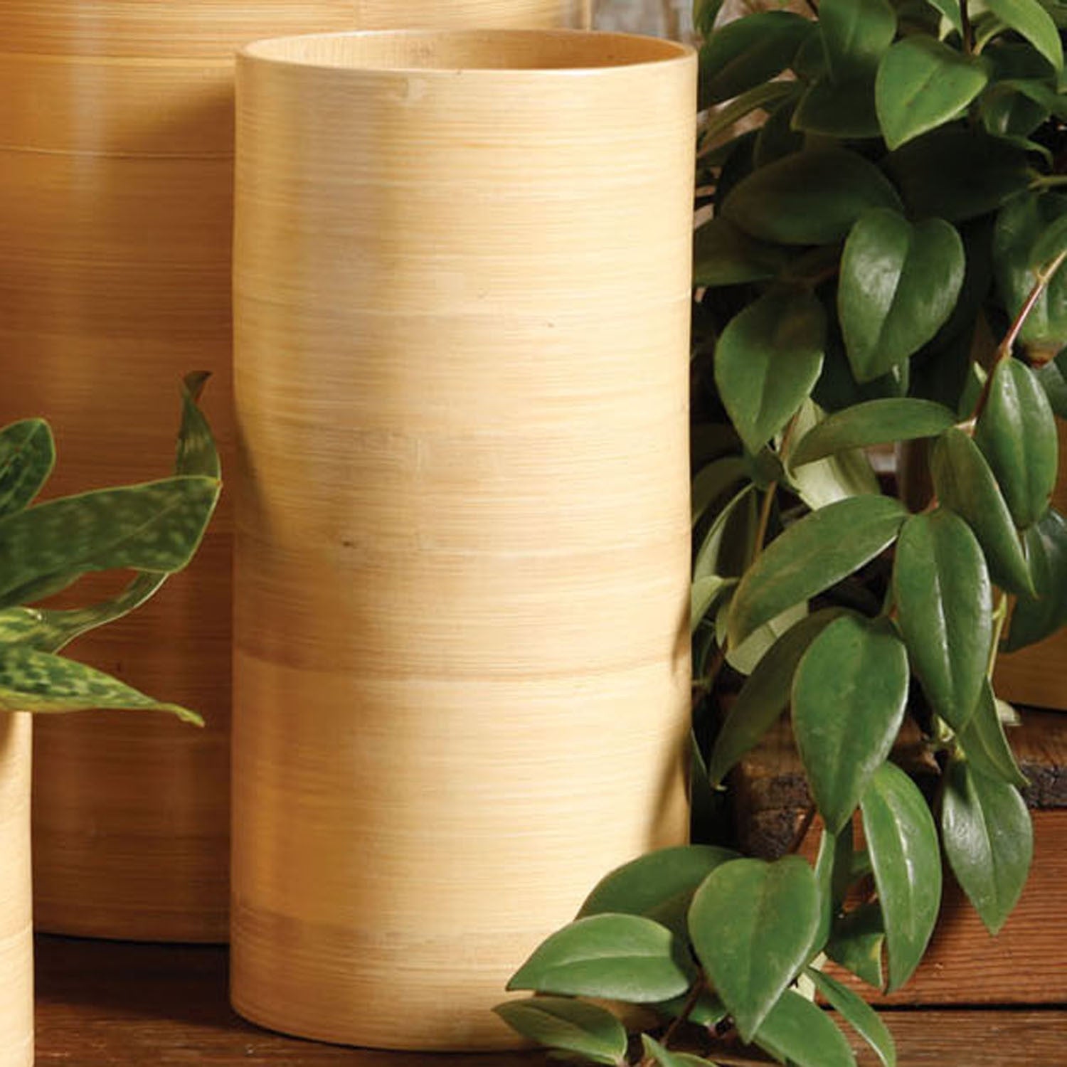 Sui Bamboo Vase - Froy.com