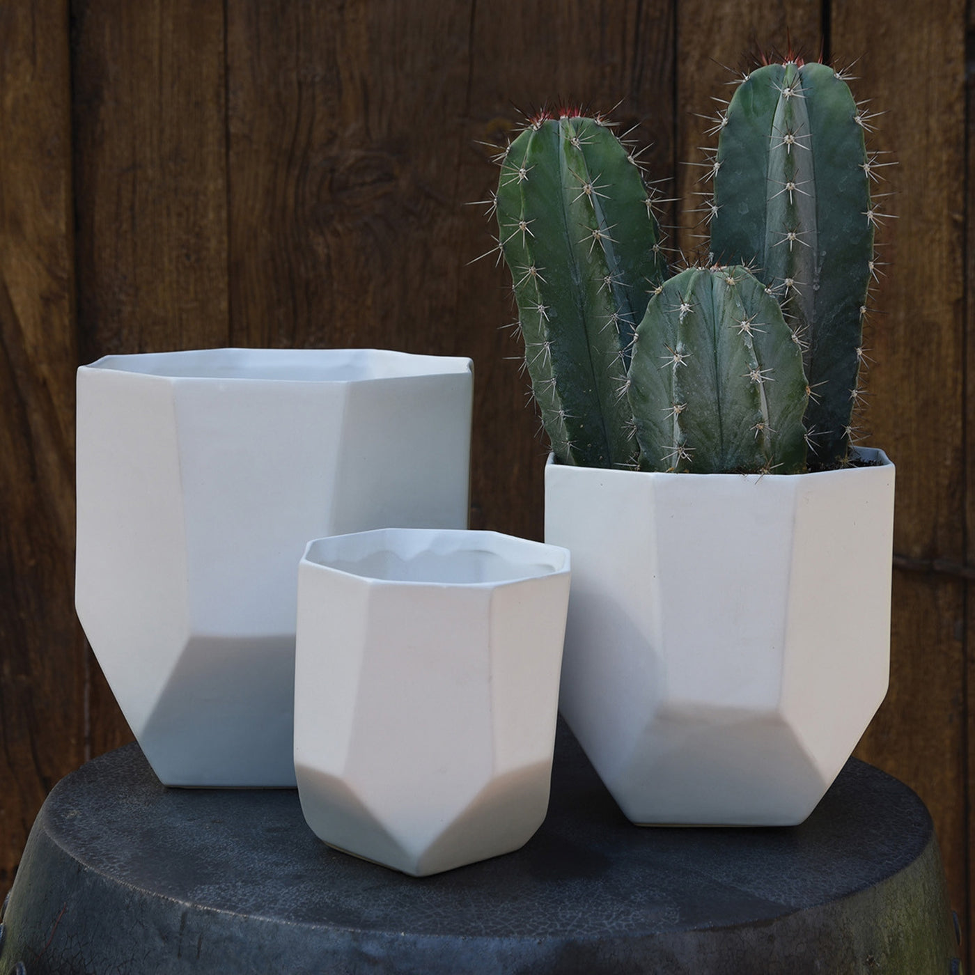 Luna Ceramic Vase - Froy.com