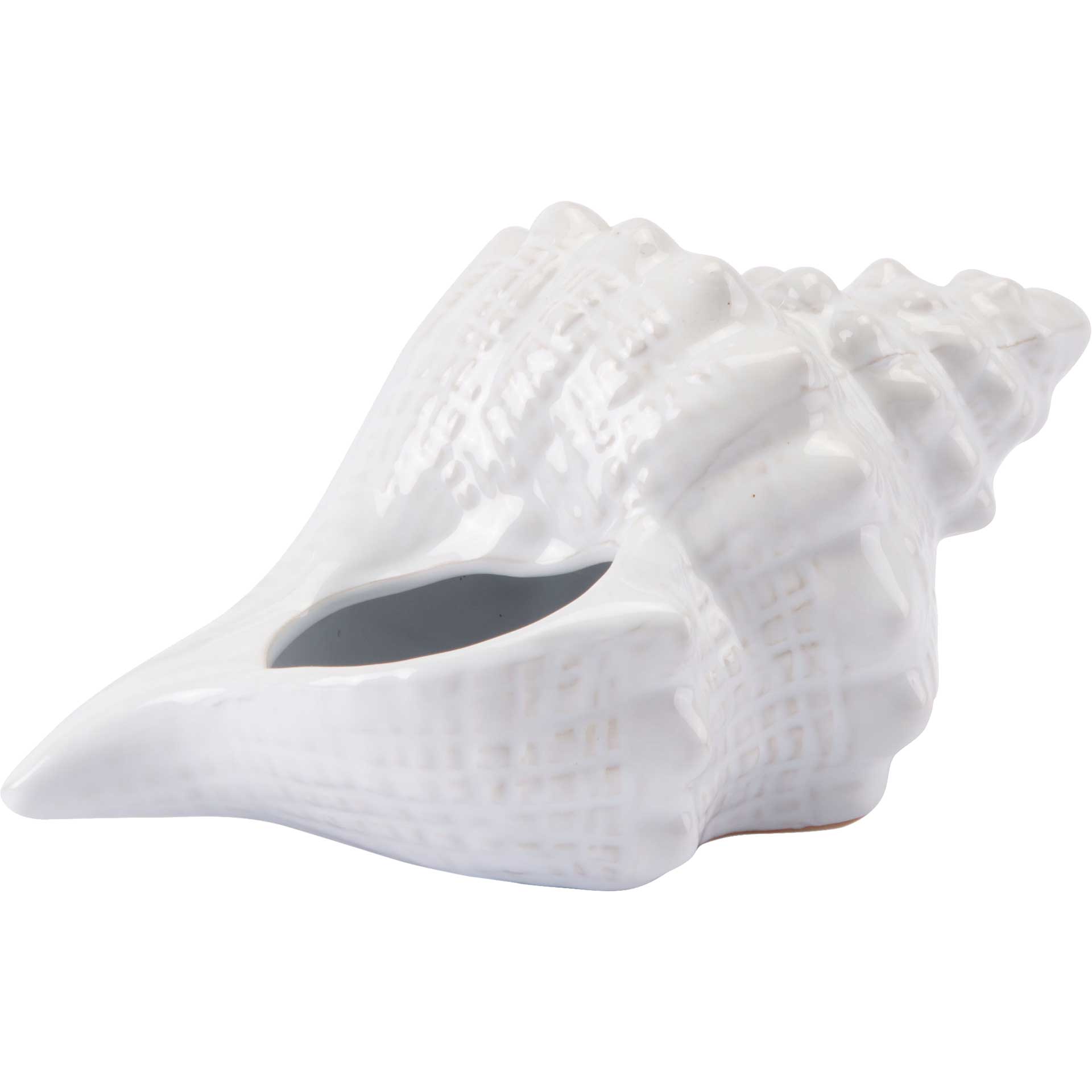 Coastal Ceramic Shell White - Froy.com