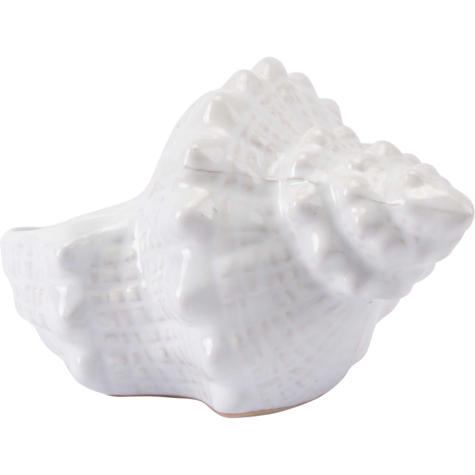 Coastal Ceramic Shell White - Froy.com