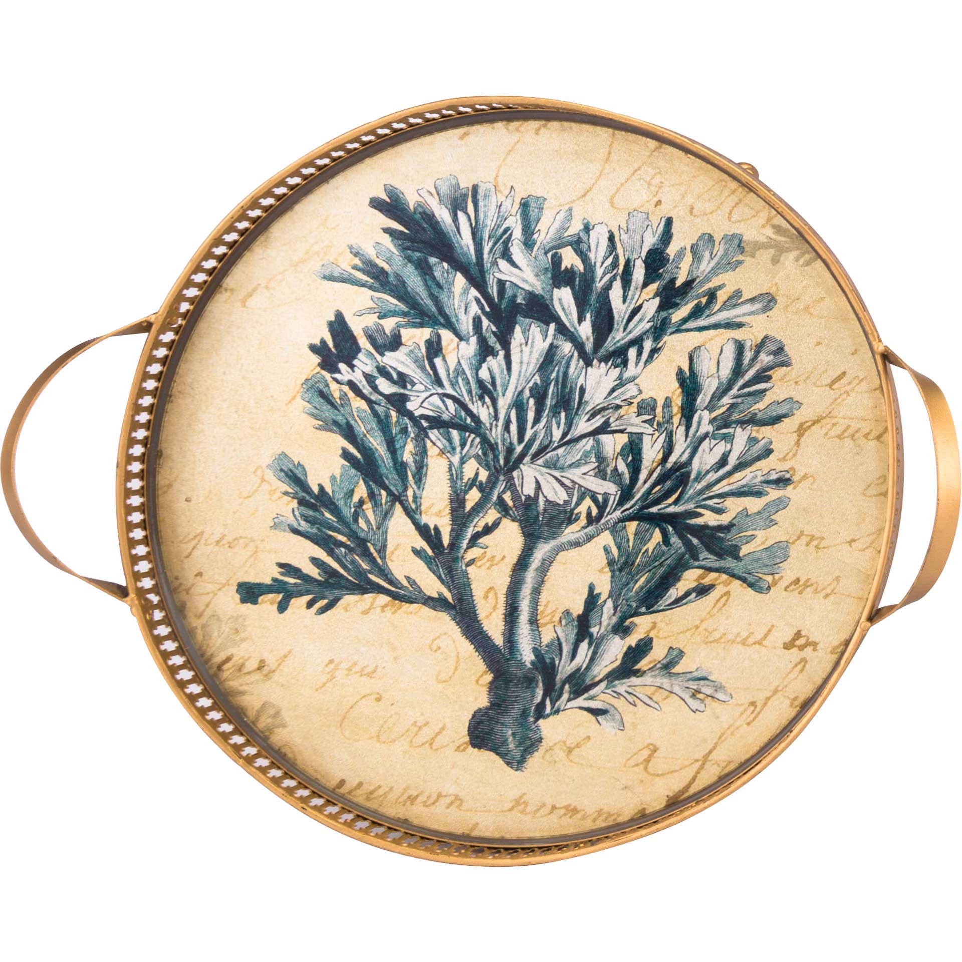 Coral Tray Blue - Froy.com