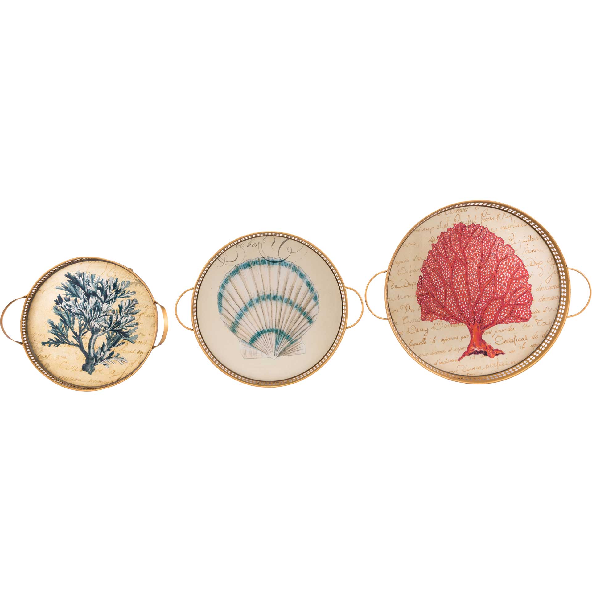 Coral Tray Blue - Froy.com