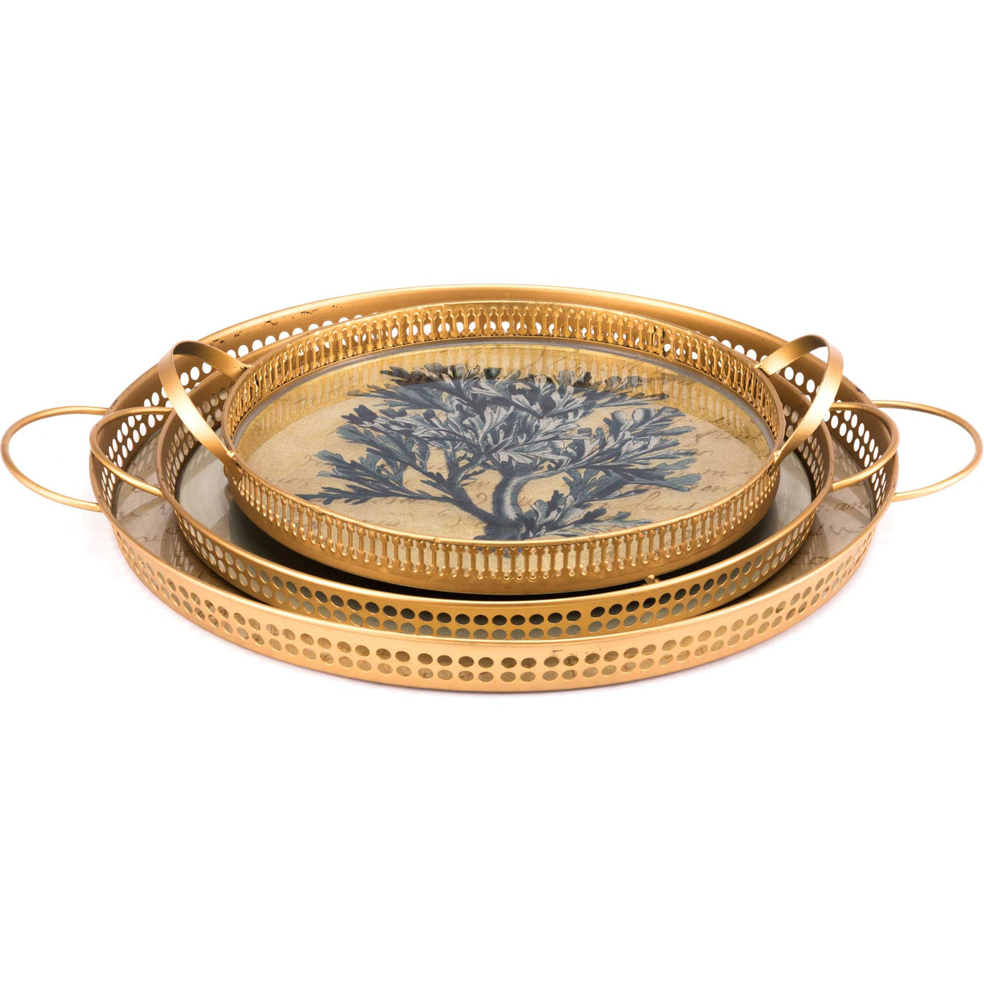 Coral Tray Blue - Froy.com
