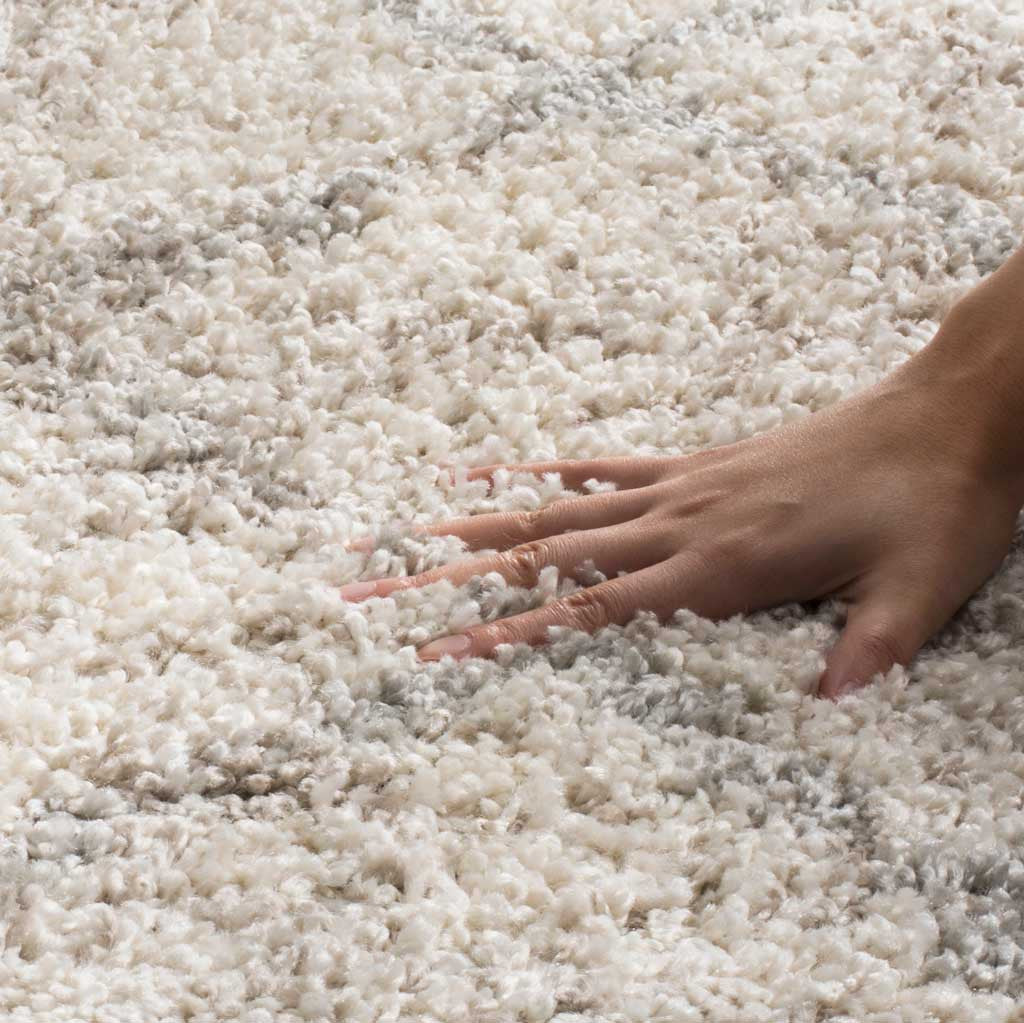 Berber Shag Cream/Light Gray Area Rug - Froy.com