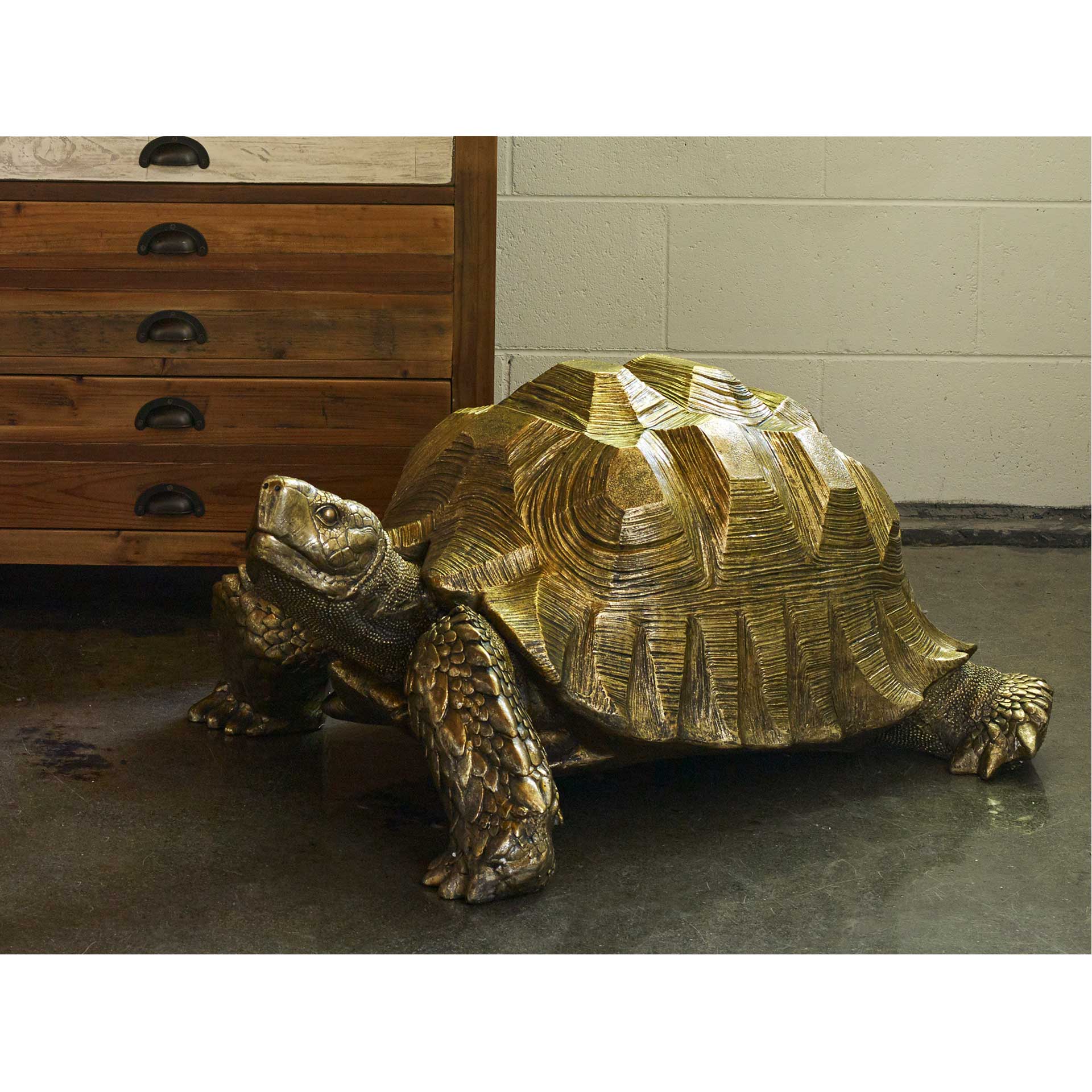 Morla Turtle Sculpture - Froy.com