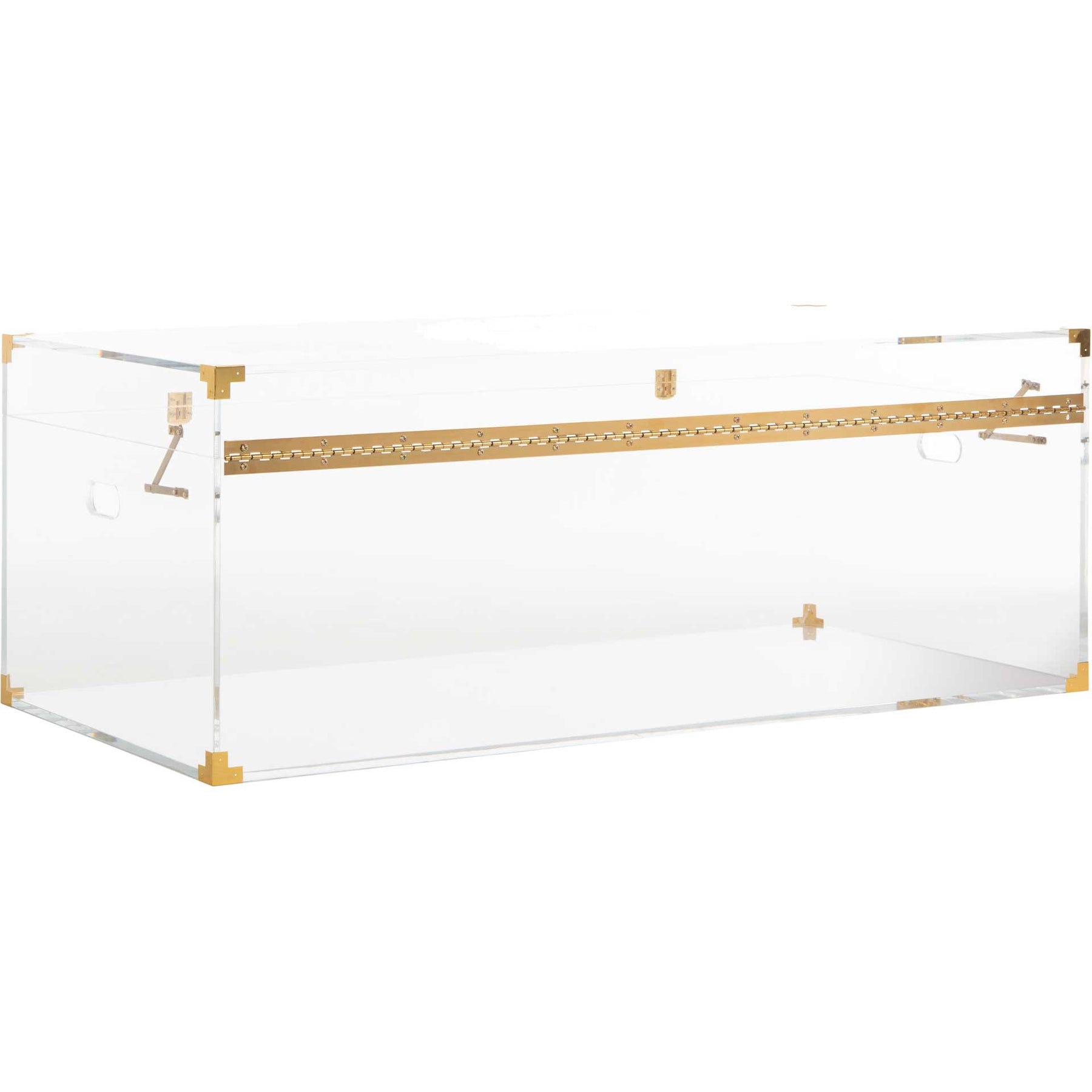 Isabel Acrylic Trunk Coffee Table Clear/Brass - Froy.com