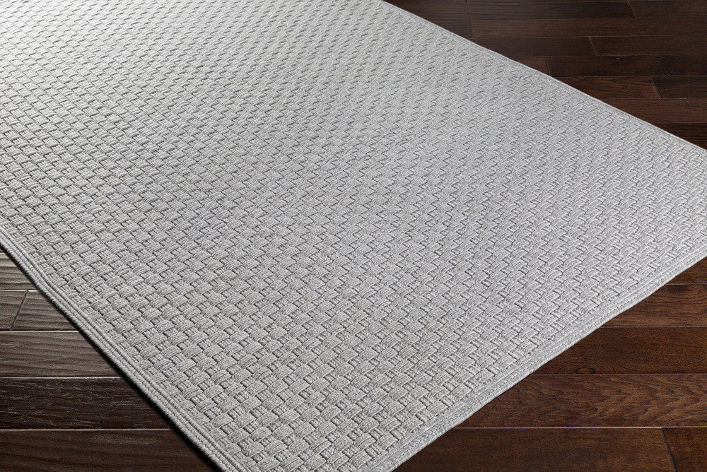 Barcelona Light Gray Area Rug - Froy.com