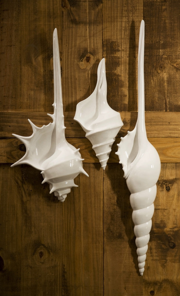 Delaware Shell Wall Decor (Set of 3) - Froy.com