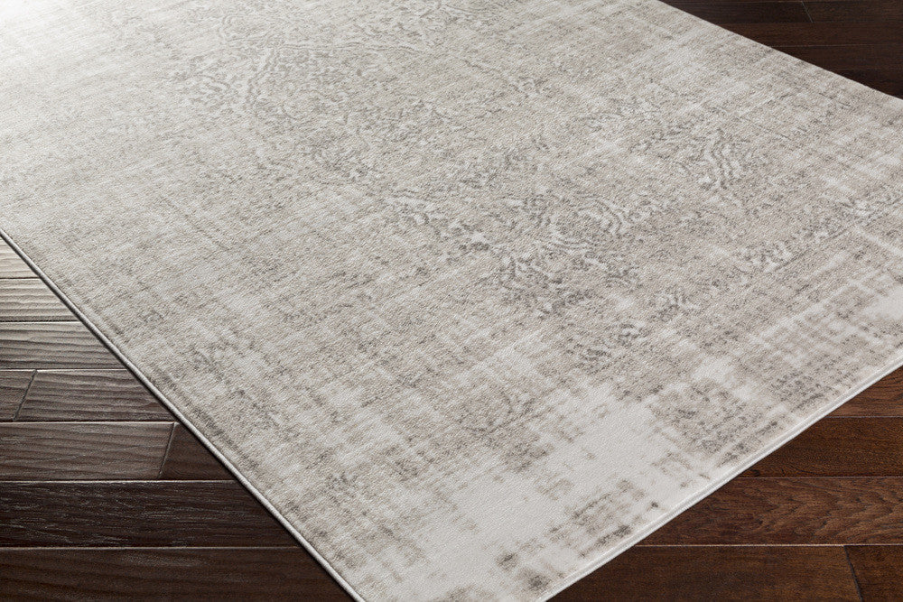 Nova Ivory/Light Gray Area Rug - Froy.com